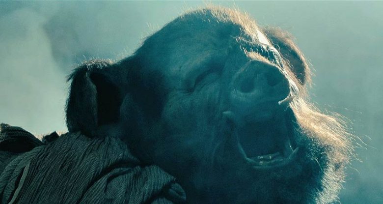 "WILD BOAR" - Trailer - HorrorFix - Horror Movie News Reviews and More!